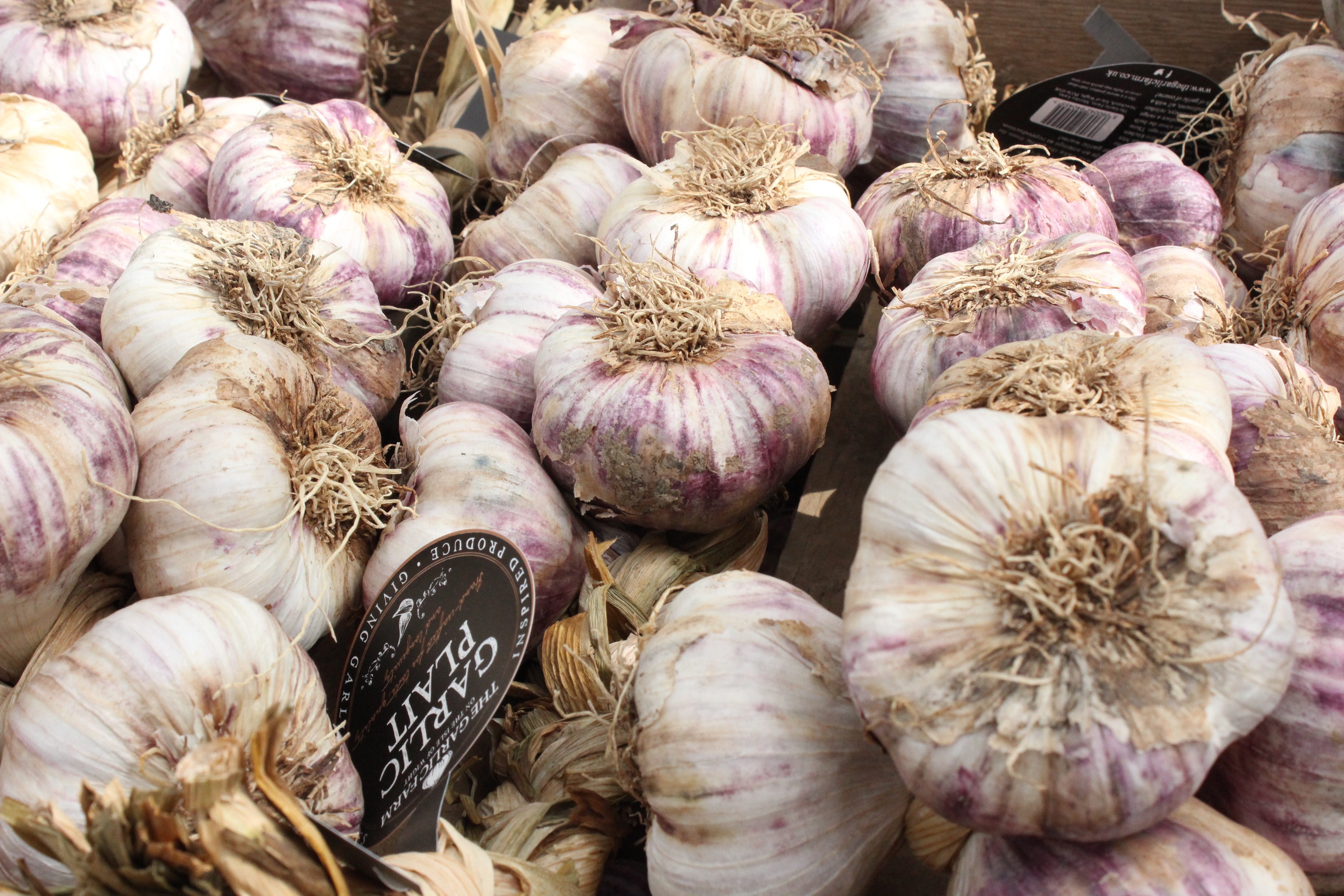 How To Preserve Garlic – The Garlic Farm