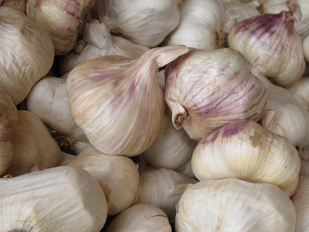 Garlic: Great Flavour for Plant-Based Dishes | The Garlic Farm Isle of ...