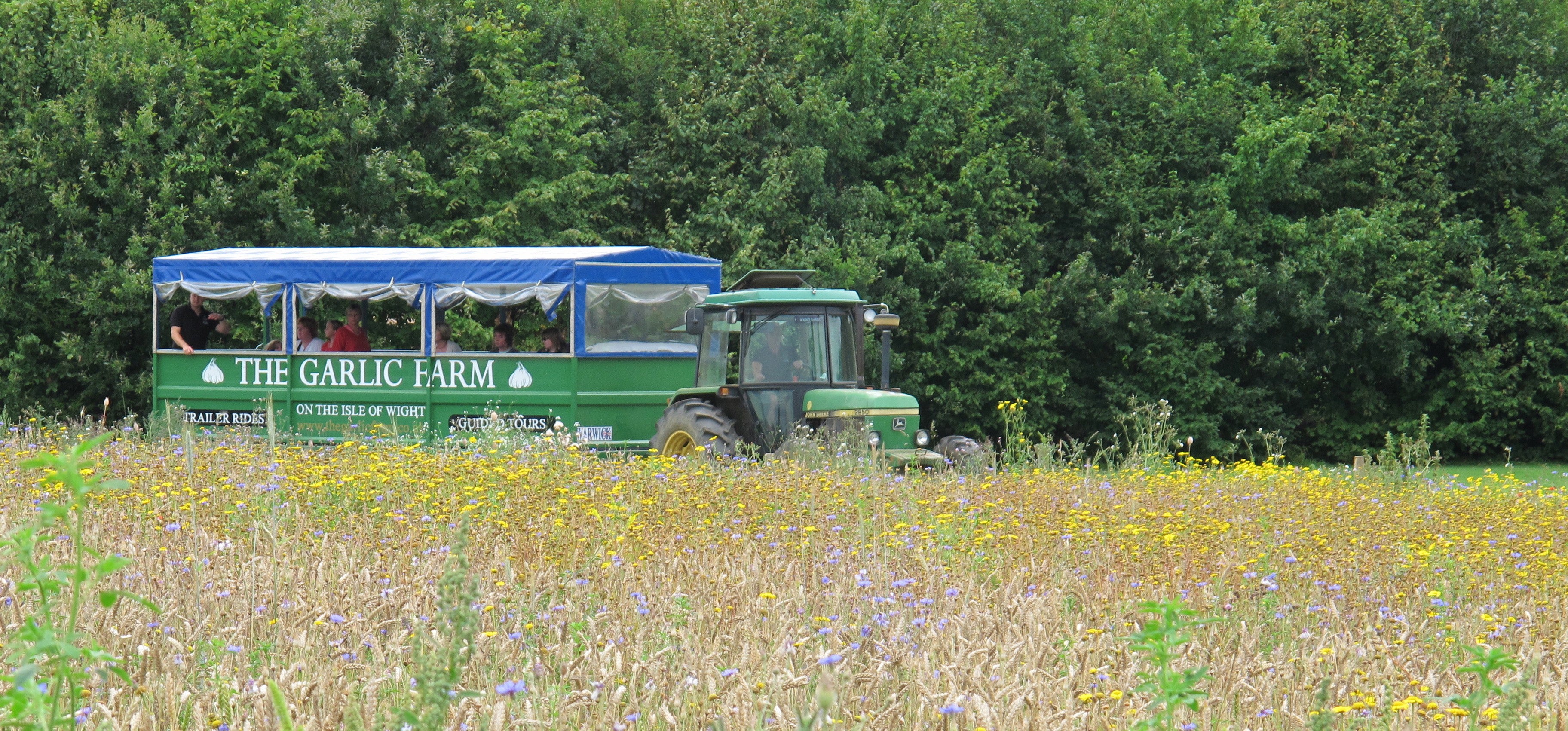 Summer is here! | The Garlic Farm Isle of Wight