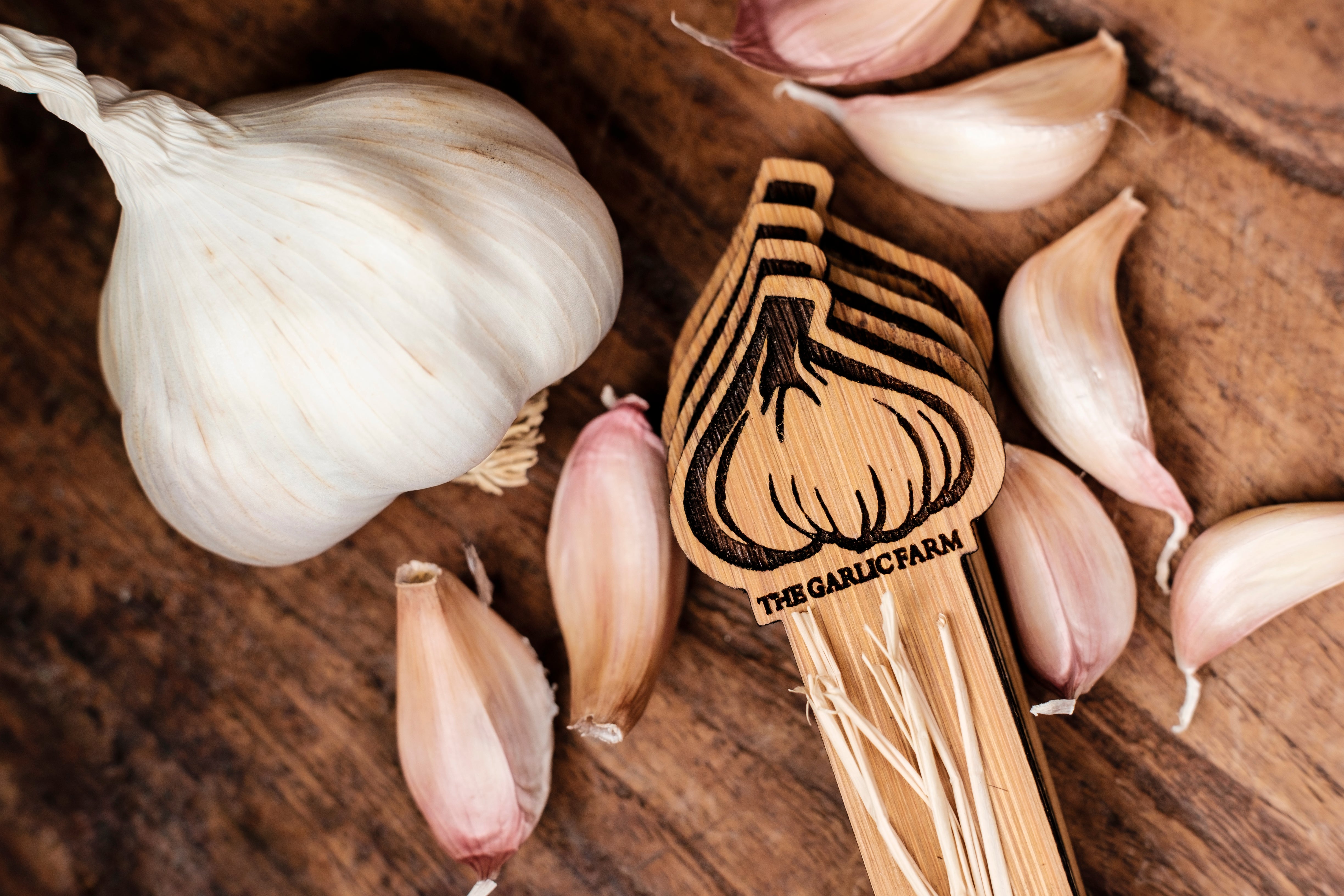 Plant your Spring Garlic! – The Garlic Farm