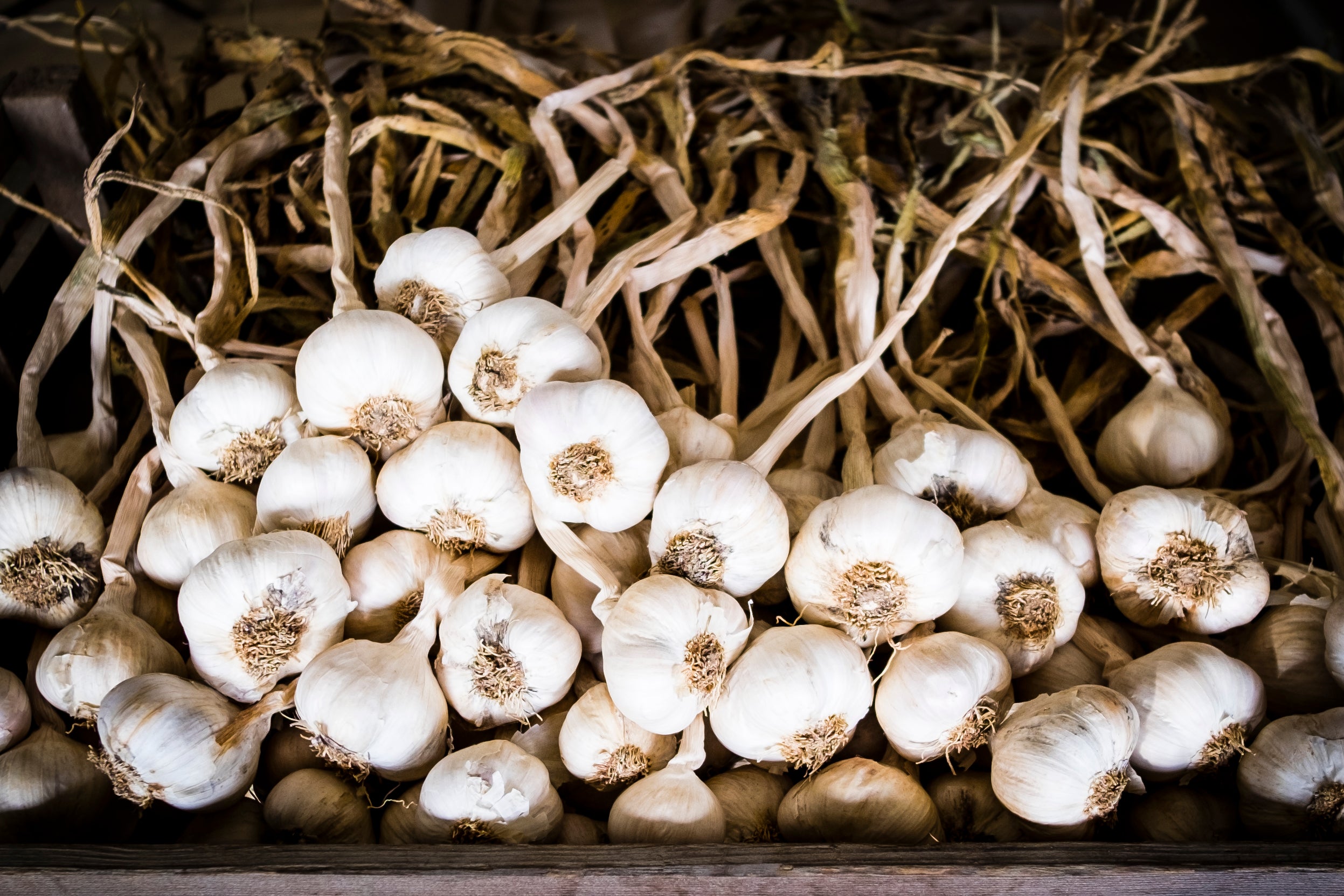 How to Grow Garlic | The Garlic Farm Isle of Wight