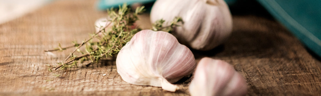 Organic Seed – The Garlic Farm