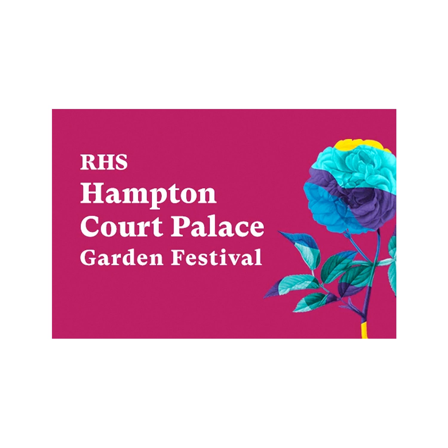RHS Hampton Court Palace Garden Festival – The Garlic Farm