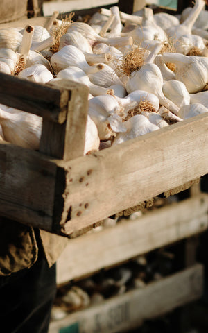 The Garlic Farm Isle of Wight | Farm Shop | Restaurant | Café