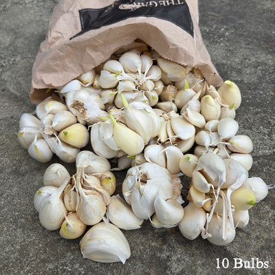 Garlic for Eating | The Garlic Farm Isle of Wight