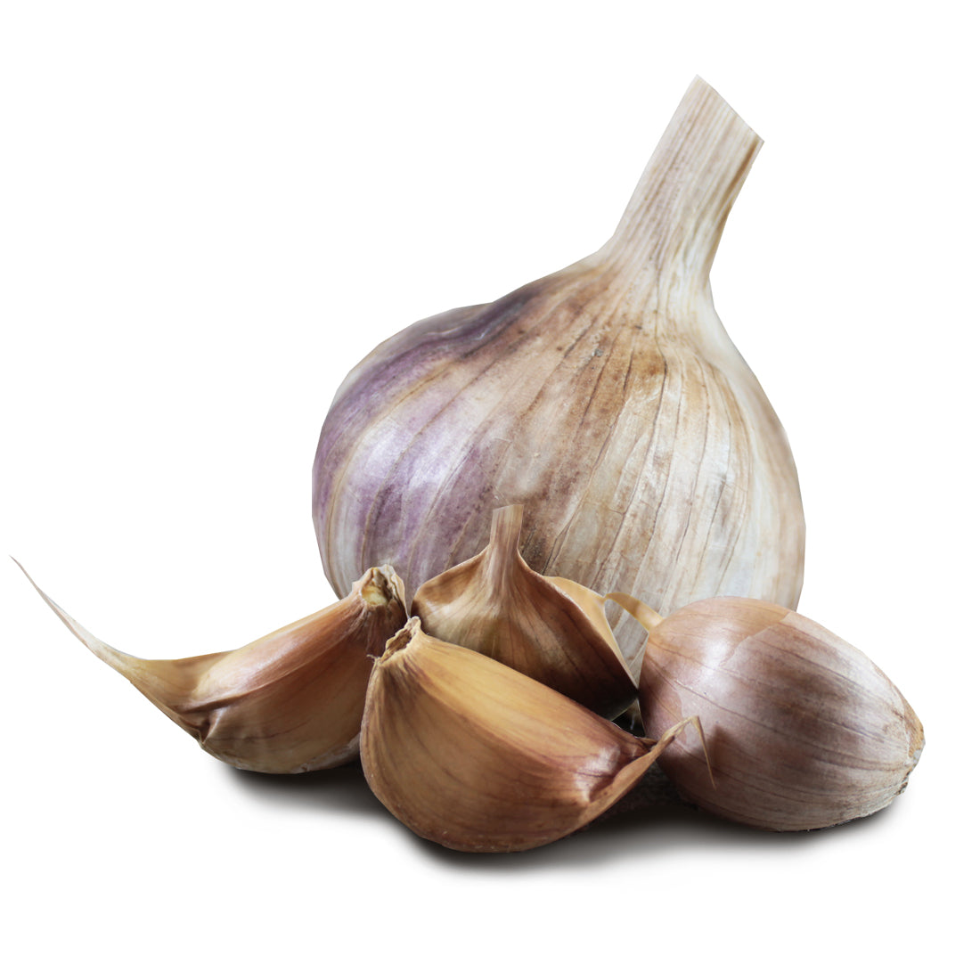 Rhapsody Wight® Seed | The Garlic Farm Isle of Wight