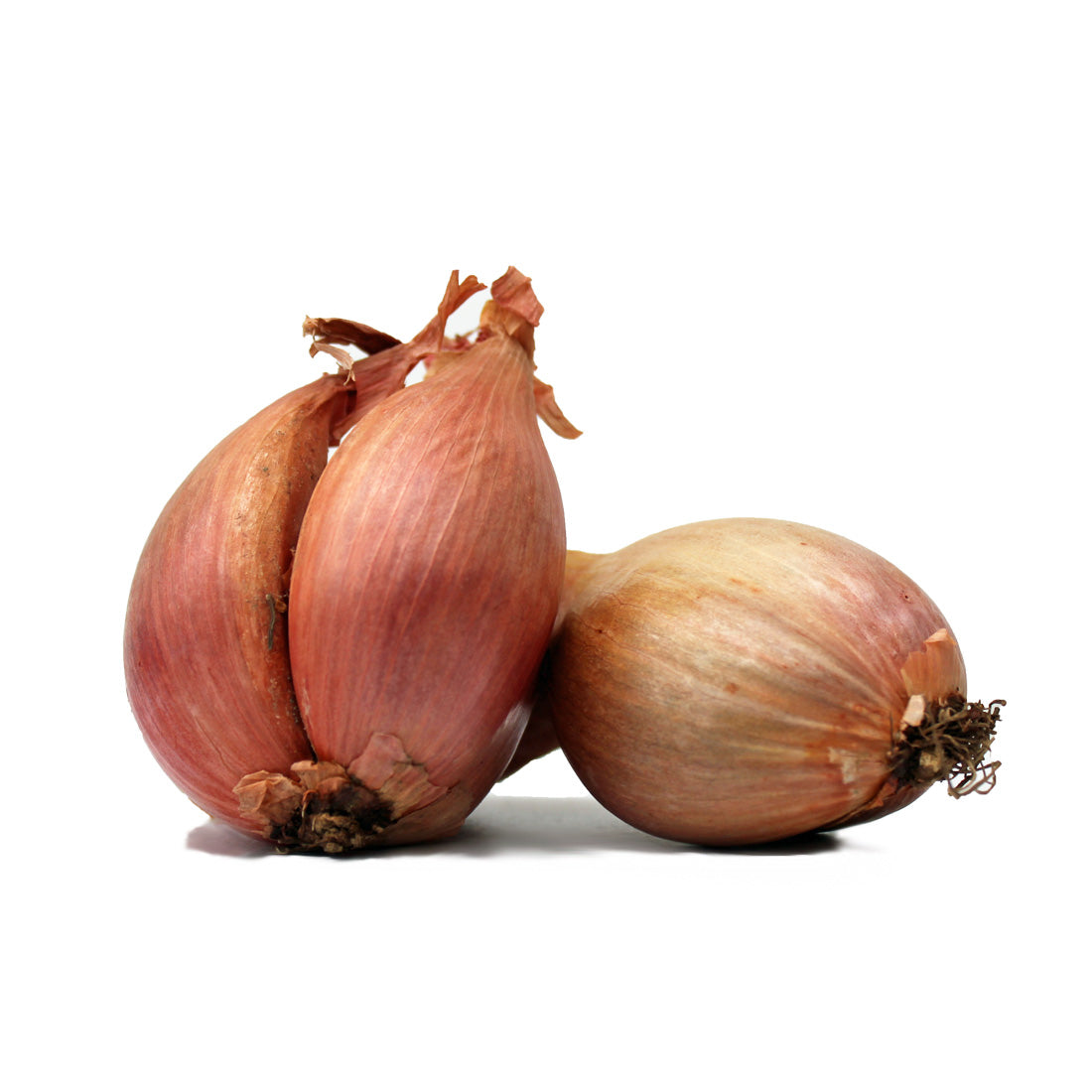 Longor Shallot 500g | The Garlic Farm Isle of Wight