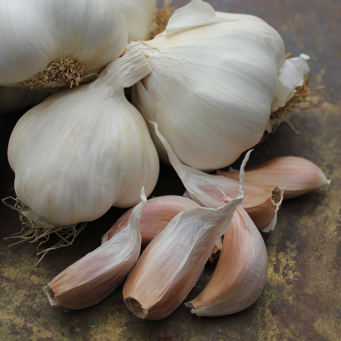 Mersley Wight ® Seed | The Garlic Farm Isle of Wight