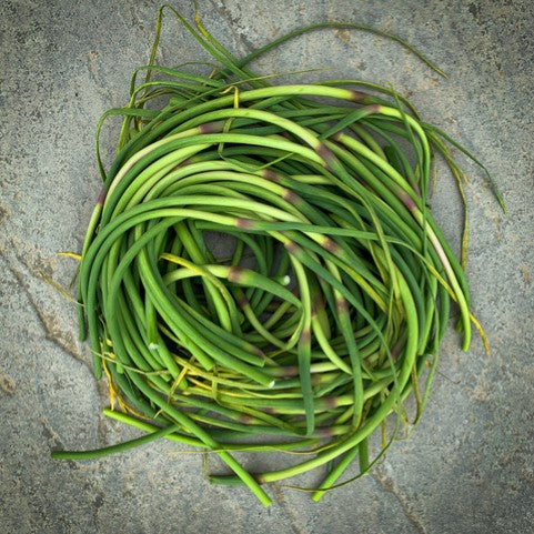 Organic Rocambole Scapes 1kg | The Garlic Farm Isle of Wight